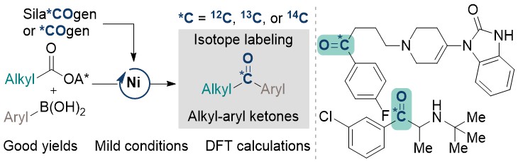 Nickel-Catalyzed Innovation in Drug Labeling